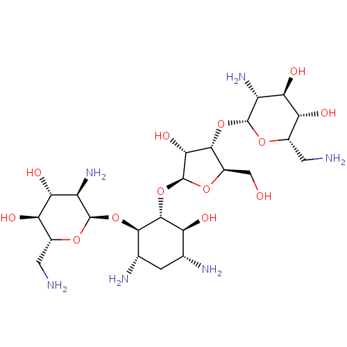 Pharmacology Of Framycetin