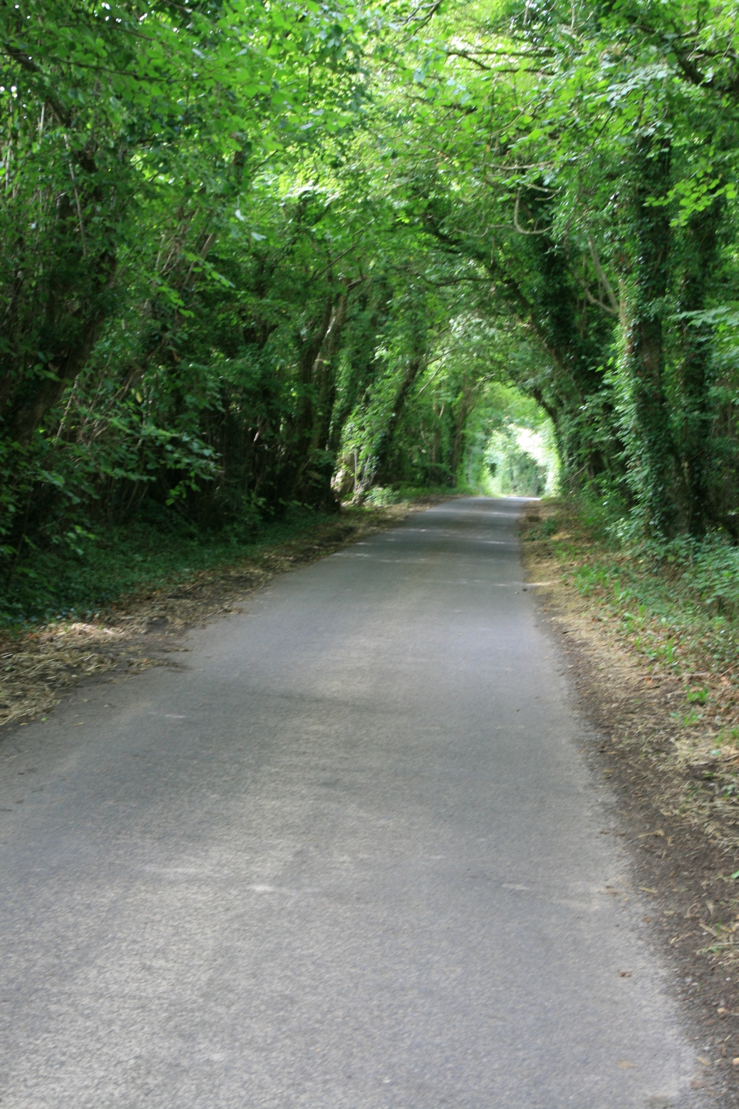 Walking Dorset's gridsquares: Stalbridge - 30th August 2018
