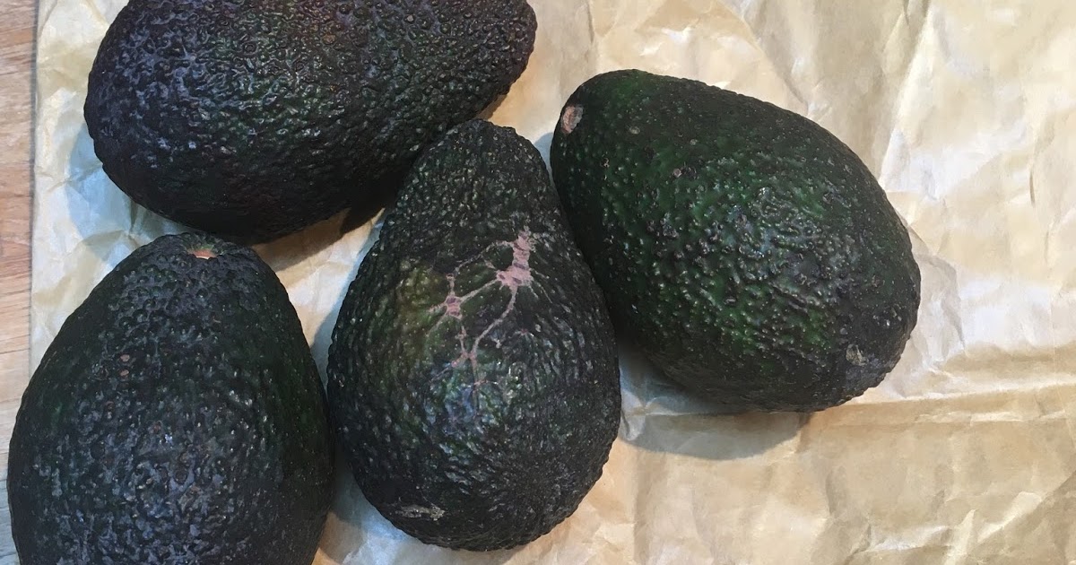 The Frugal Snob: Fail of the week: Shocking Avocado story ...