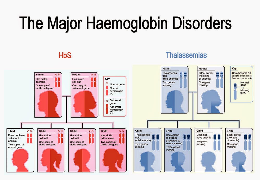Medical Laboratory and Biomedical Science: Haemoglobin Disorders