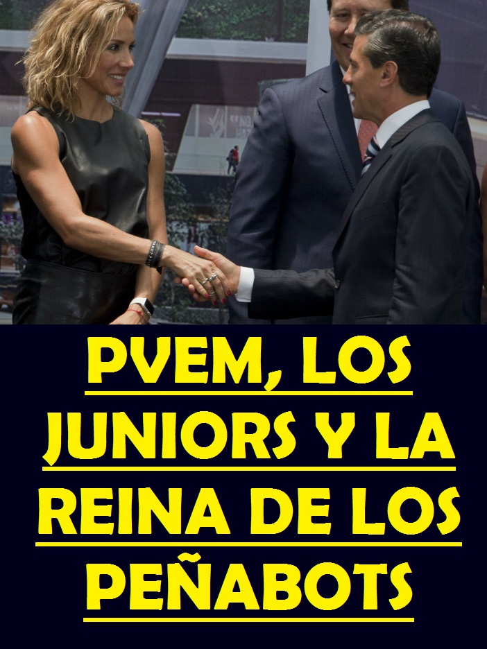 DESARMADOR POLITICO: PVEM, LOS JUNIORS Y LA REINA DE LOS PEÑABOTS