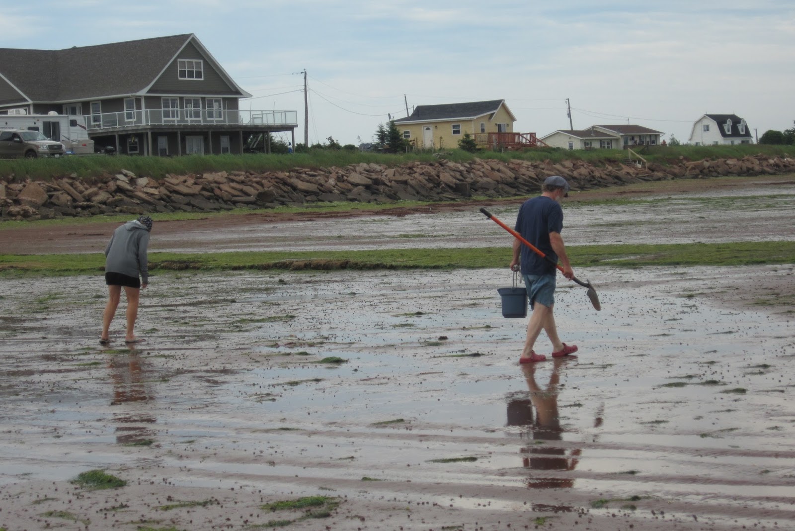 MODAKI: June 23, 2013 clam digging