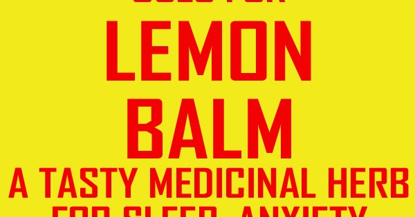 LEMON BALM USES YOU NEED TO KNOW! - exstremboard