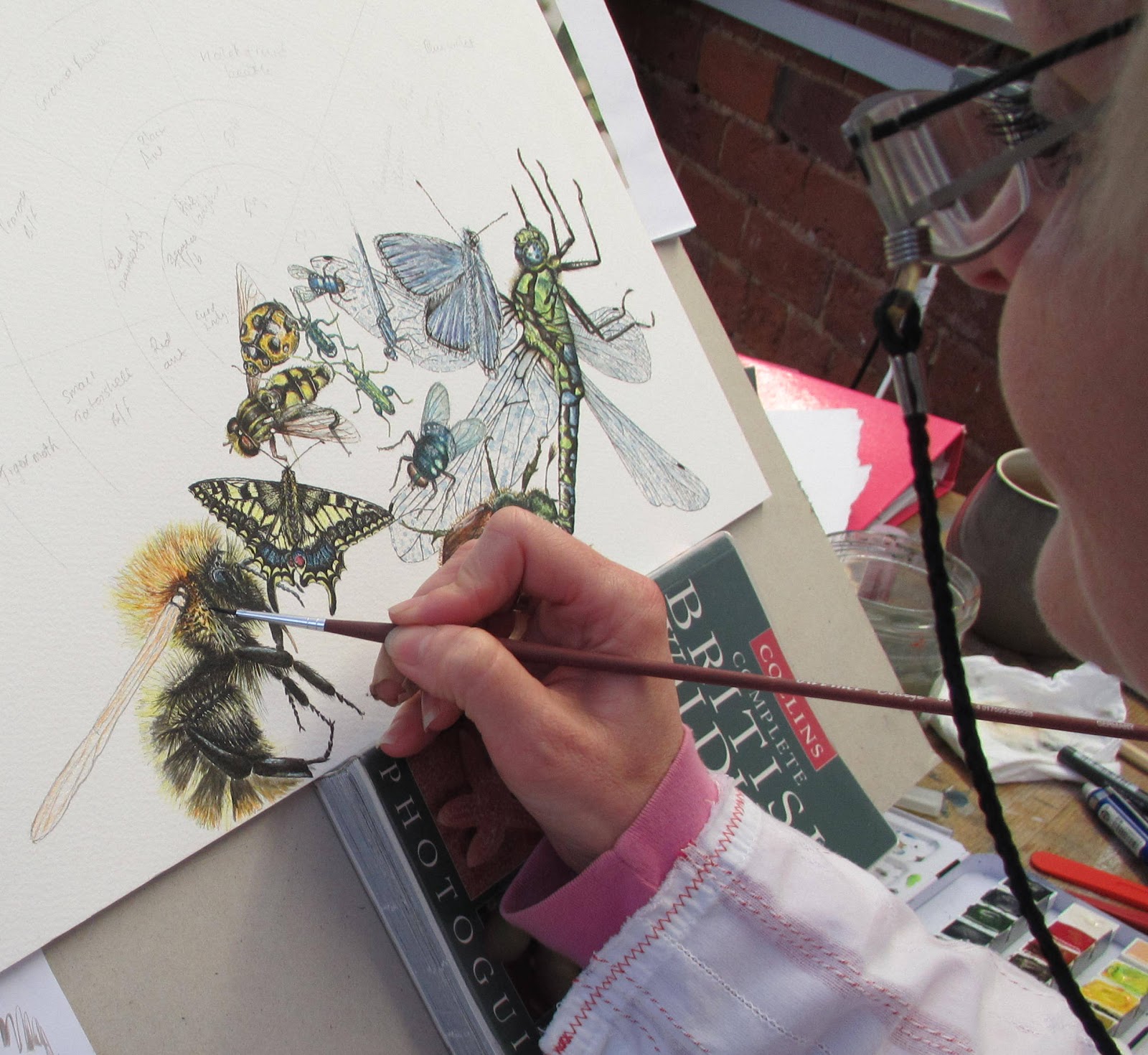 Cath Hodsman - Wildlife and Natural History Artist: A fab week as ...