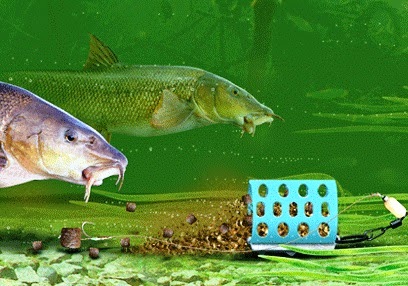 T.V. FISHING: Sistema ūsoriams – GROUNDBAIT FEEDER RIG