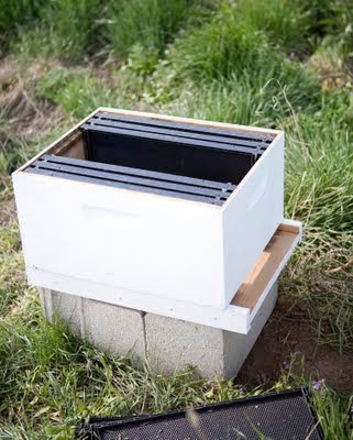 Backyard Farming: Bee Box Bonanza