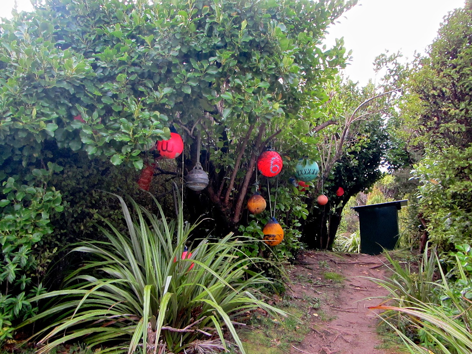 WanderLust Kaitlyn Jayne: Tales from Codfish Island (Whenua Hou)