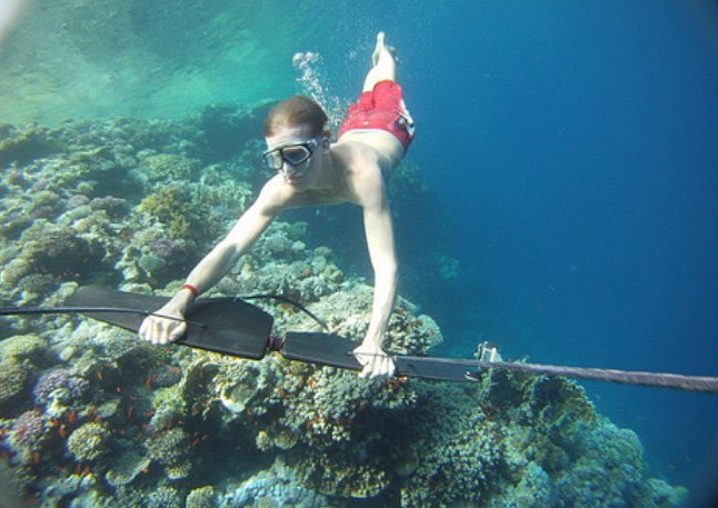 If It's Hip, It's Here (Archives): Fly Underwater With Subwing: A New ...