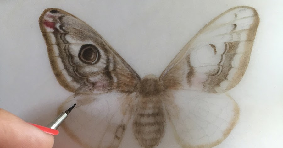 Dianne Sutherland: A Visit to the William Cowley Works: Trying out ...