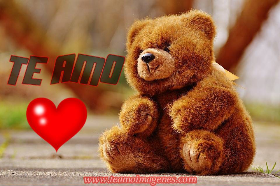 25 Imágenes Románticas de Ositos con frase TE AMO - Imágenes de Amor ...