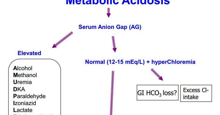 Tutor's Notes: general, cardiovascular, respiratory and renal ...