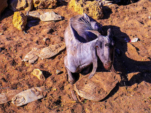 Sudan: il turismo è possibile? - IL MONDO CAPOVOLTO