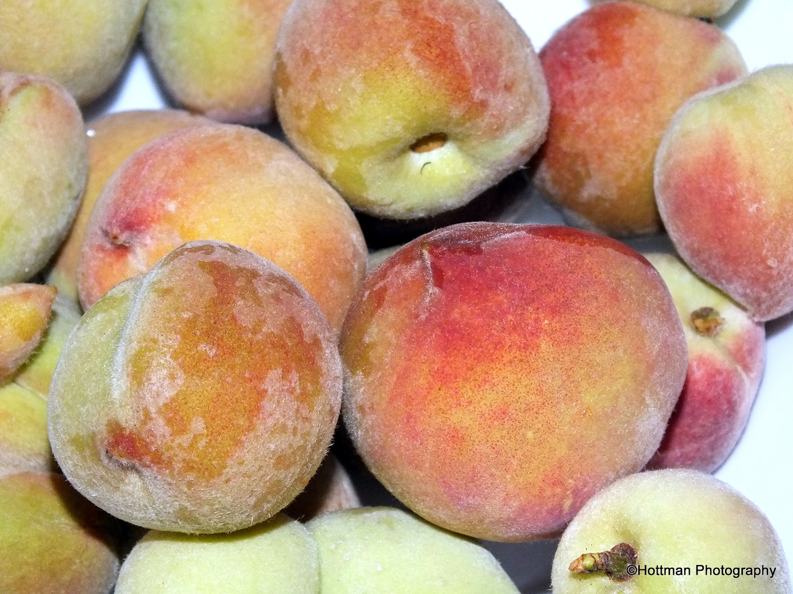 Hottman Photography: ~~Peaches~~