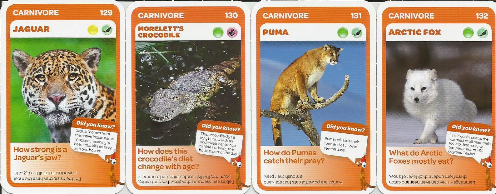 GeoBloxJF: Woolworths Super Animals Carnivore Christmas Edition Collection