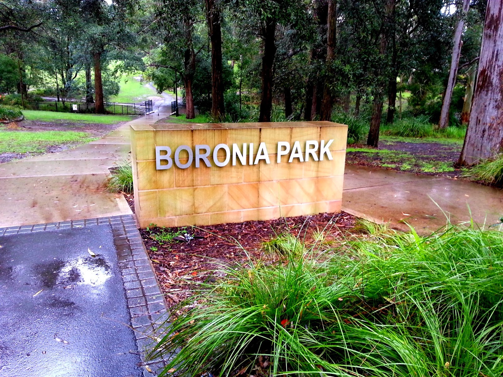 BORONIA PARK 보로니아공원 SYDNEY AUSTRALIA
