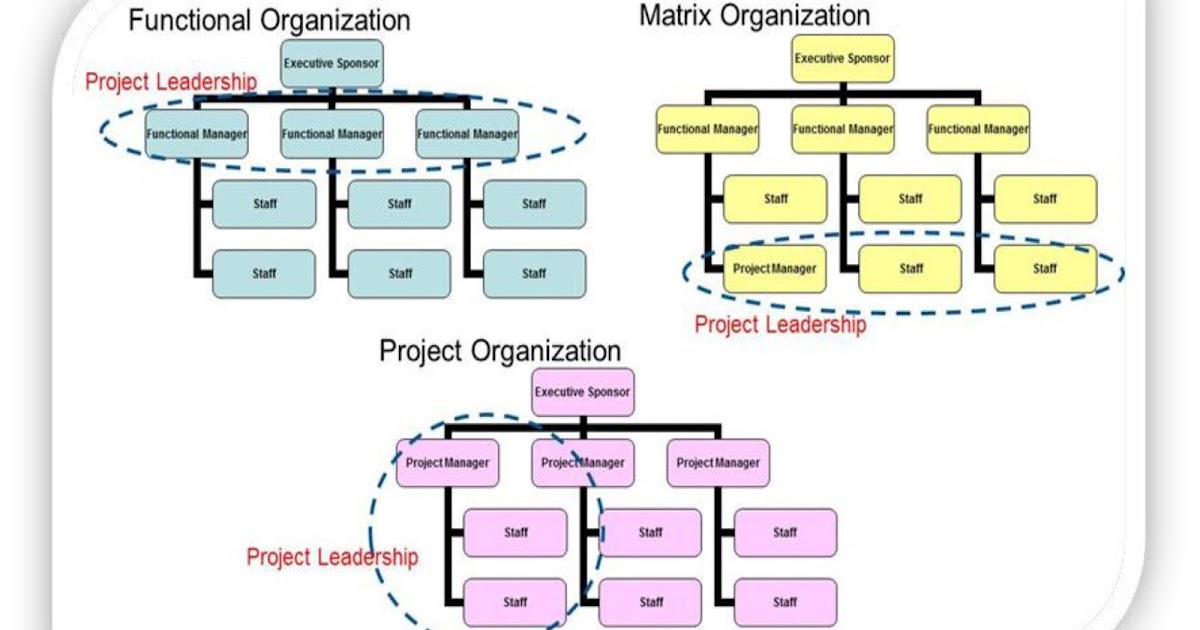 Project for Success: ORGANIZATIONAL INFLUENCES ON PROJECT MANAGEMENT