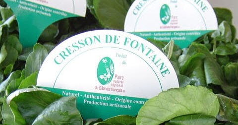 Behind the French Menu: Cresson, Cresson de Fontaine - Watercress on ...