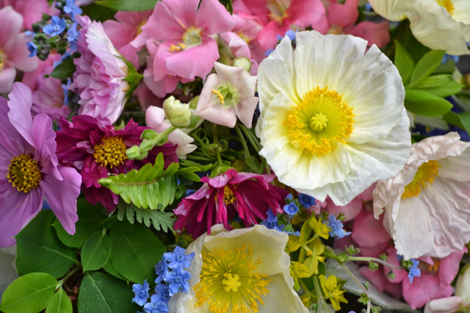 Wedding Flowers from Springwell: Locally Grown Wedding Flowers for May Wedding Flowers from Springwell: Locally Grown Wedding Flowers for May