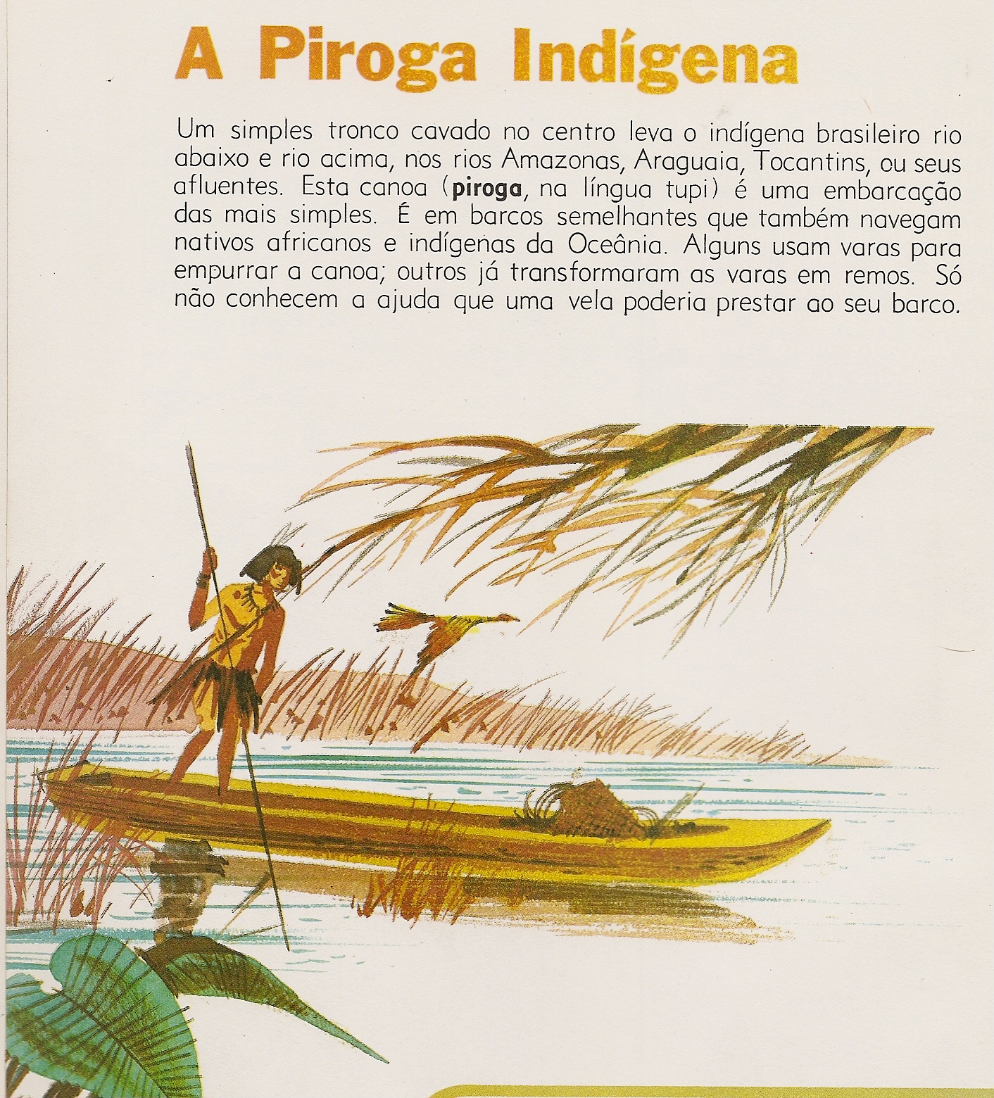 Municipalismo por Newton Thaumaturgo: A PIROGA (CANOA) INDÍGENA