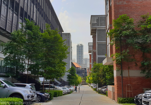 Tamarind Square And The 24-Hour Book Store | Elephants & Mangoes