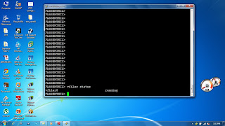 Remote Infrastructure Management: NetApp vFiler Tutorial
