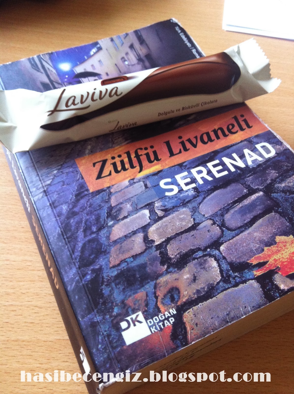 Kitap Eleştirisi : Serenad : Zülfü Livaneli - Hasibe CENGIZ | Kişisel Blog