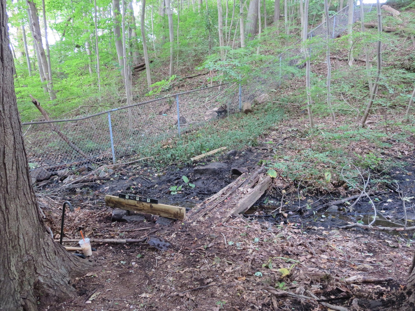 Maynard Life Outdoors and Hidden History of Maynard: 2017