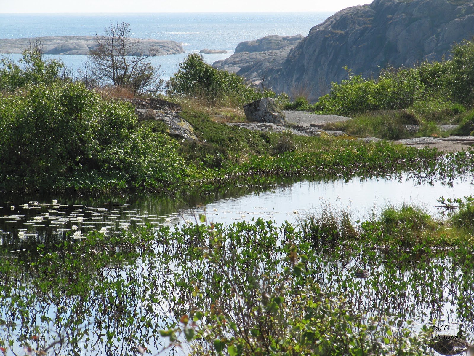Det mysiga Heestrand/Hamburgsund- En pärla i Bohuslän: Sommarlov