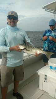 stripers on the Neuse