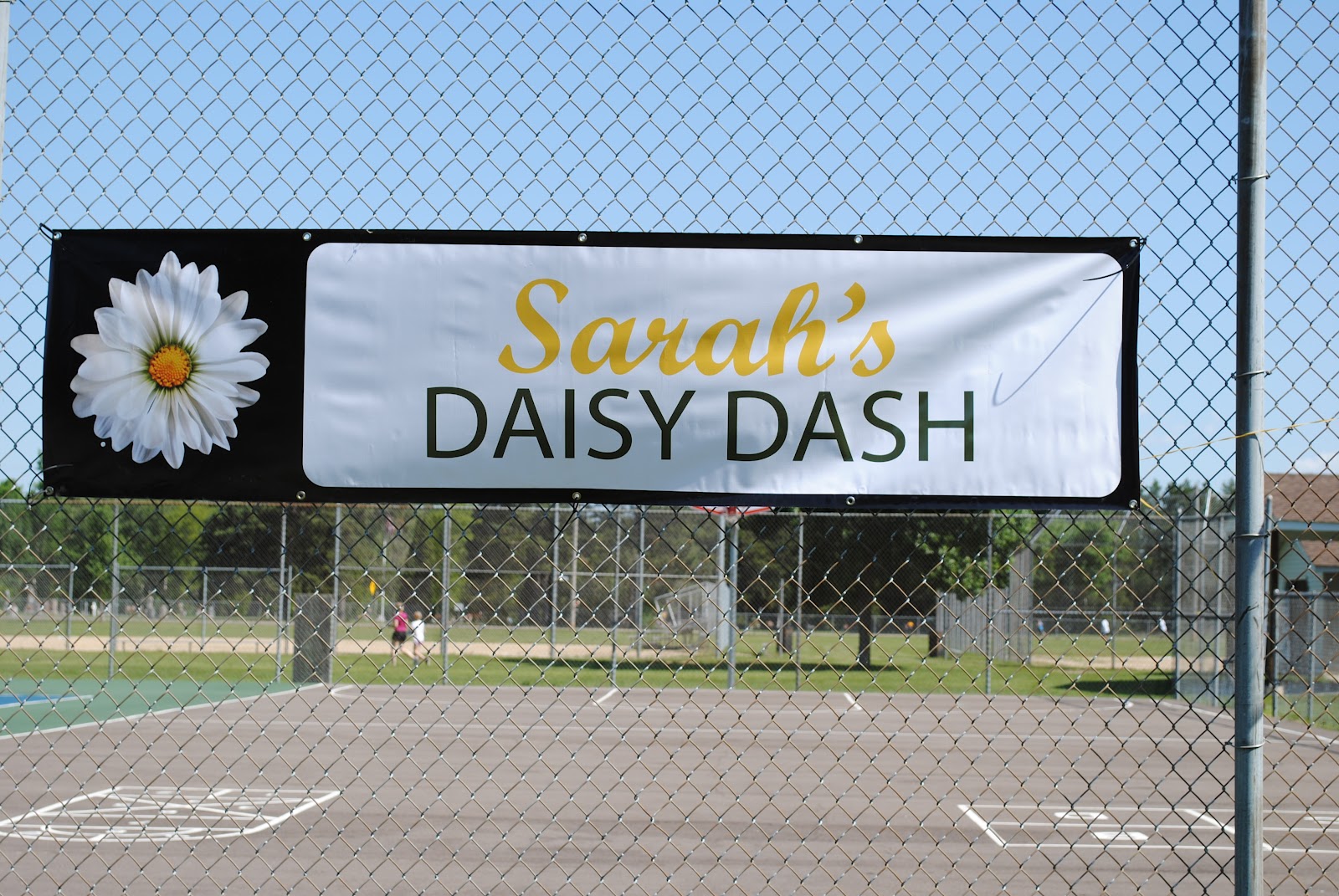 Making The Most Of Life: Sarah's Daisy Dash