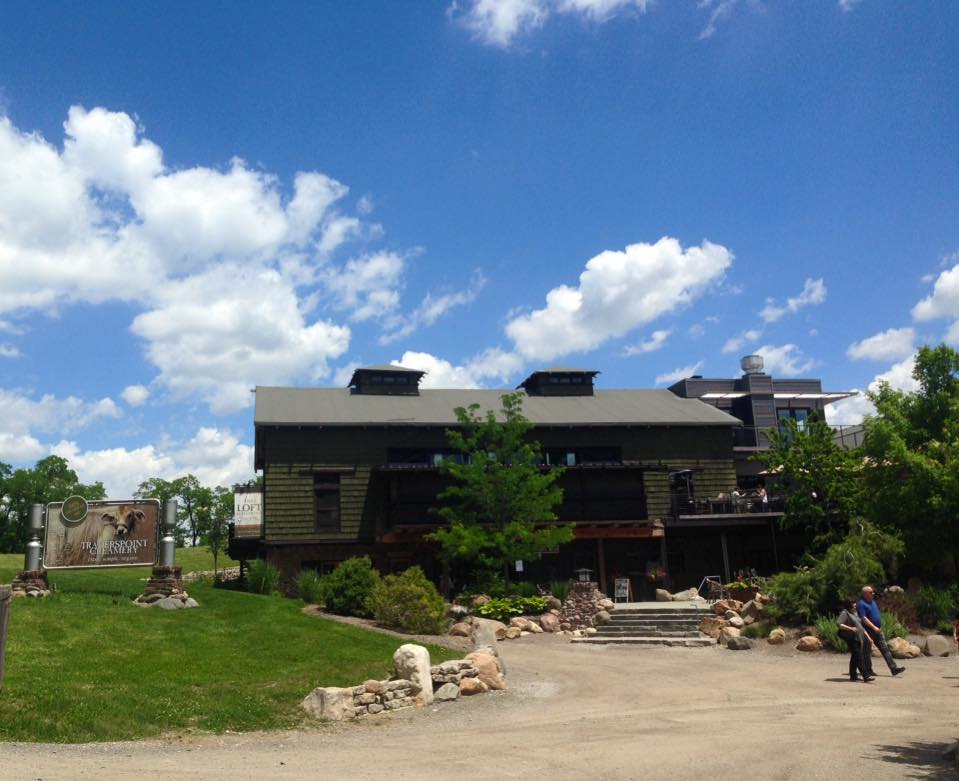 Traders Point Creamery - Curly Sue: an Amanda Condra Designs Blog