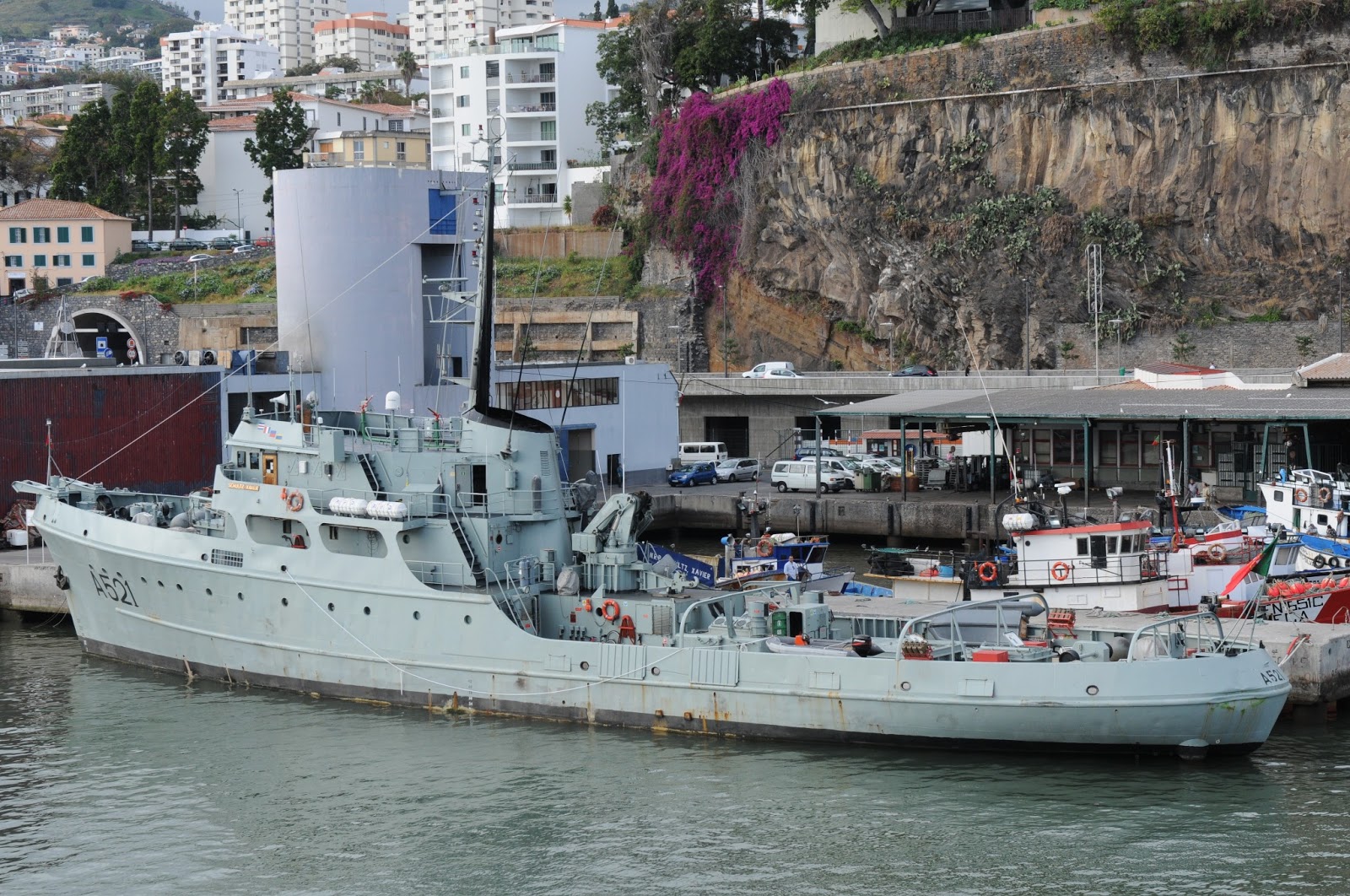 SHIPS & THE SEA - BLOGUE dos NAVIOS e do MAR: SCHULTZ XAVIER no Funchal
