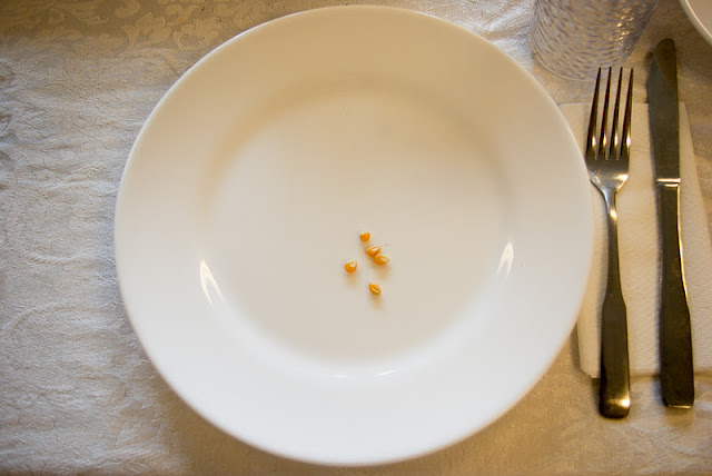 Wood Chips: Five Kernels of Corn