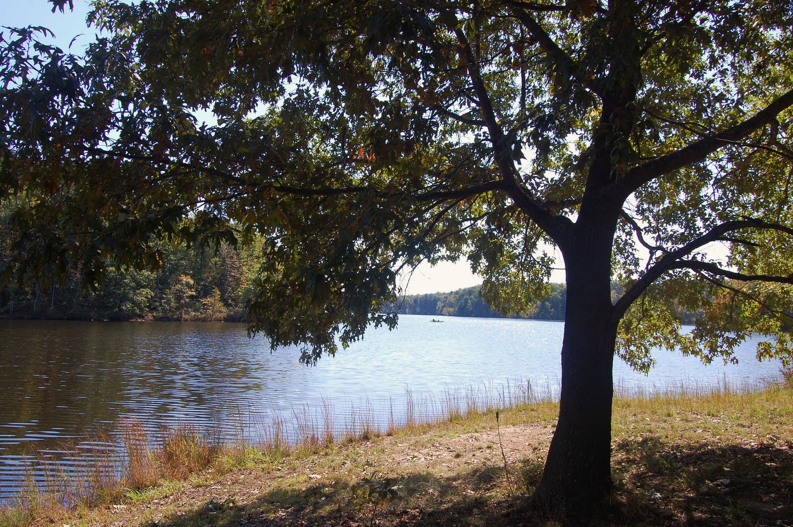 Bong in Virginia: LUNGA PARK IN MARINE BASE QUANTICO, VIRGINIA