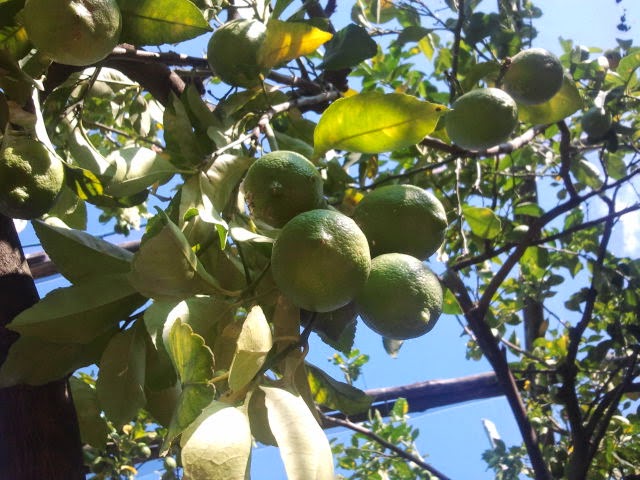 PIANETA TEMPO LIBERO: ottobre 2014