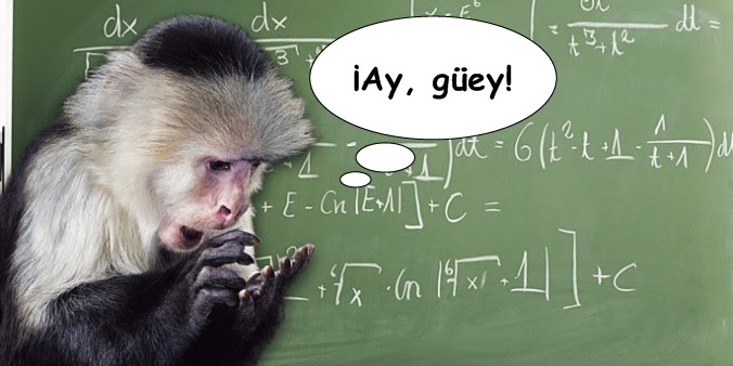 ¿No te gustan las matemáticas? tu miedo podría tener un origen genético ...