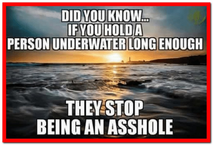 Chuck's Fun Page 2: Humor in the 2-line meme format: 40 images