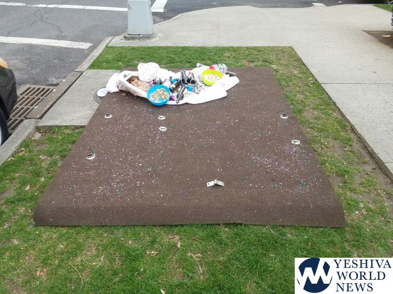 DUS IZ NIES !! Rare View...: Beri Weber Purim Video Causes Massive ...