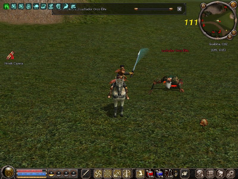 mein2 guabina: metin2 guabina