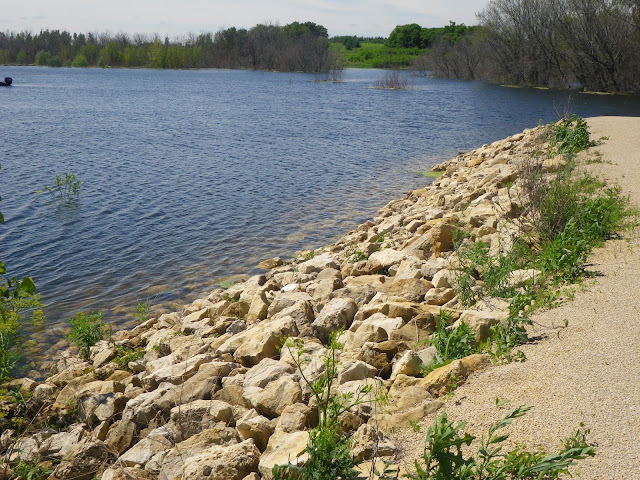 The Lost Grove Lake Mapping Project