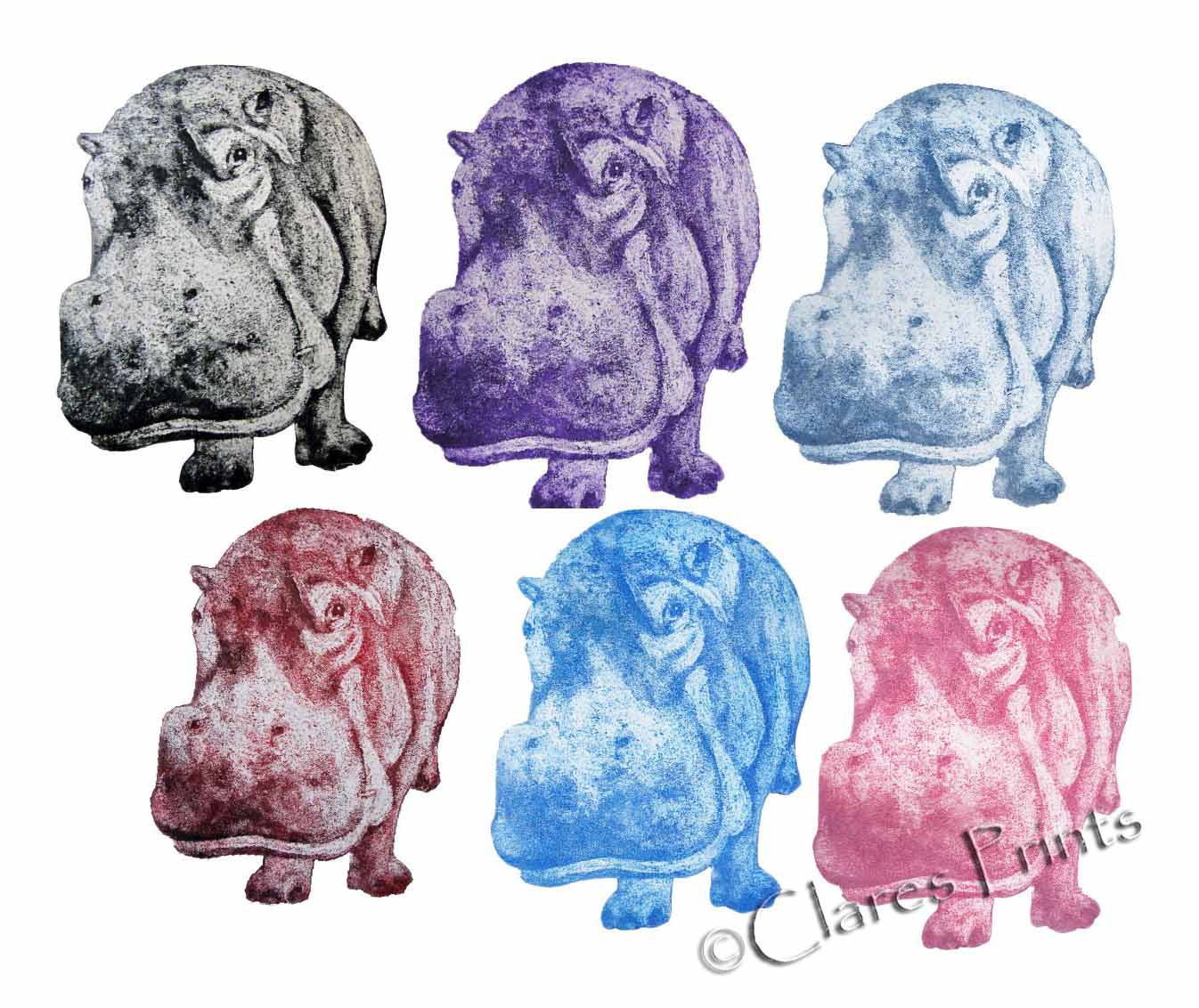 Clare Sherwen Printmaker/Painter: Printing a Hippo in 3 Colours