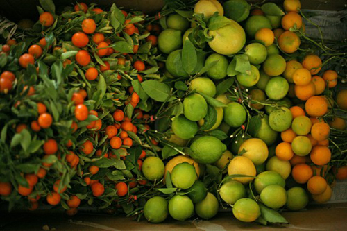 the blue house: ZING! POW!