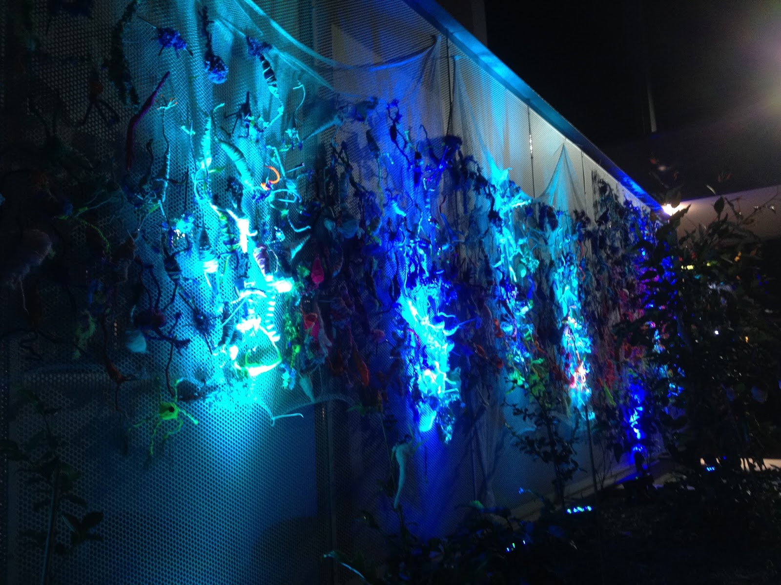 Camden History Notes: Huge crowds at Picton's 2017 illumin­ARTe festival