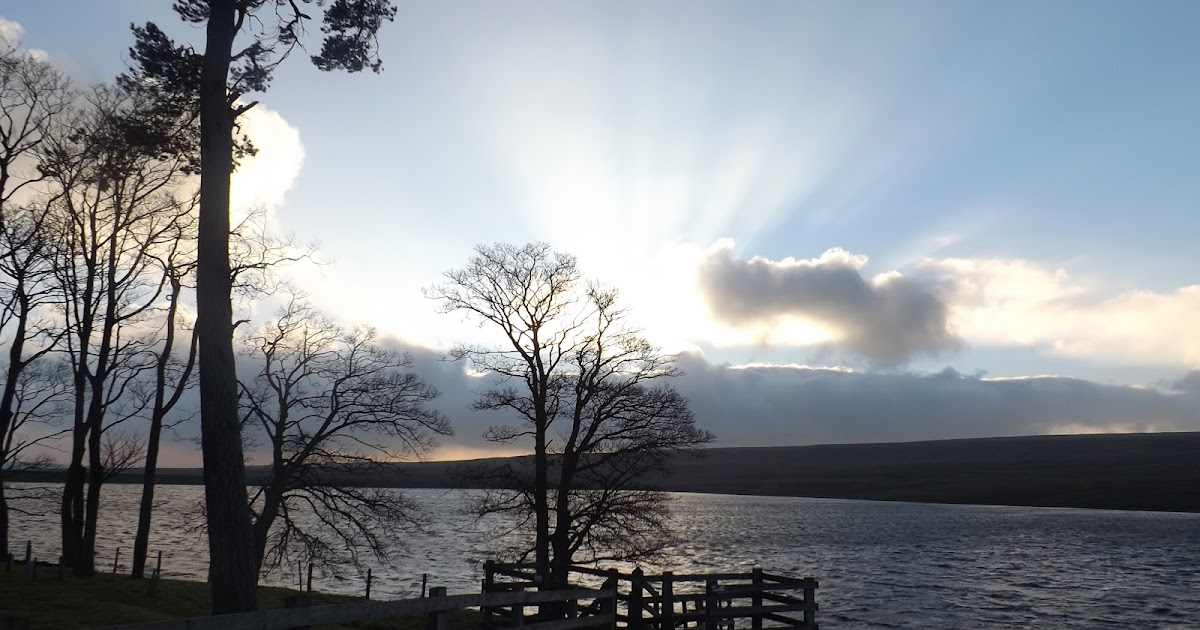 Boz North's Trail - Walking Blog: Waskerley Park, Muggleswick Common ...