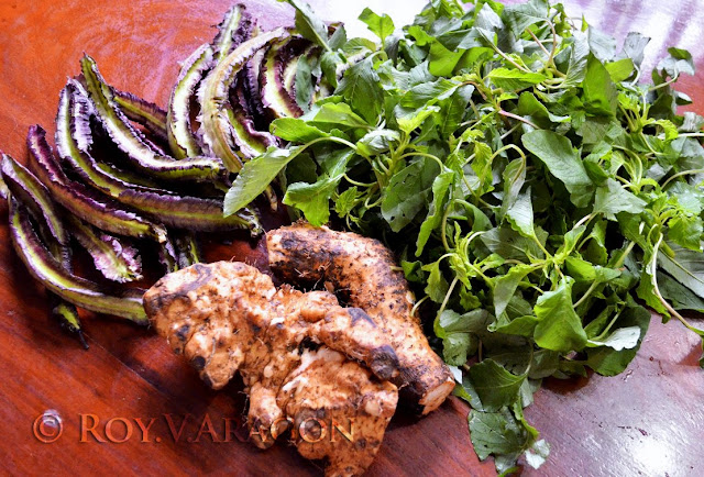 buridibod a kamangeg nga addaan pallang ken kalunay sa nasagpawan ...