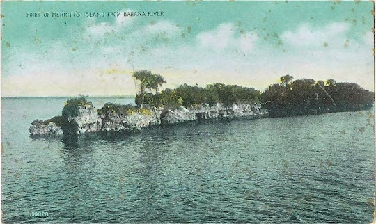 Report from the Florida Zone: Annie the Dragon