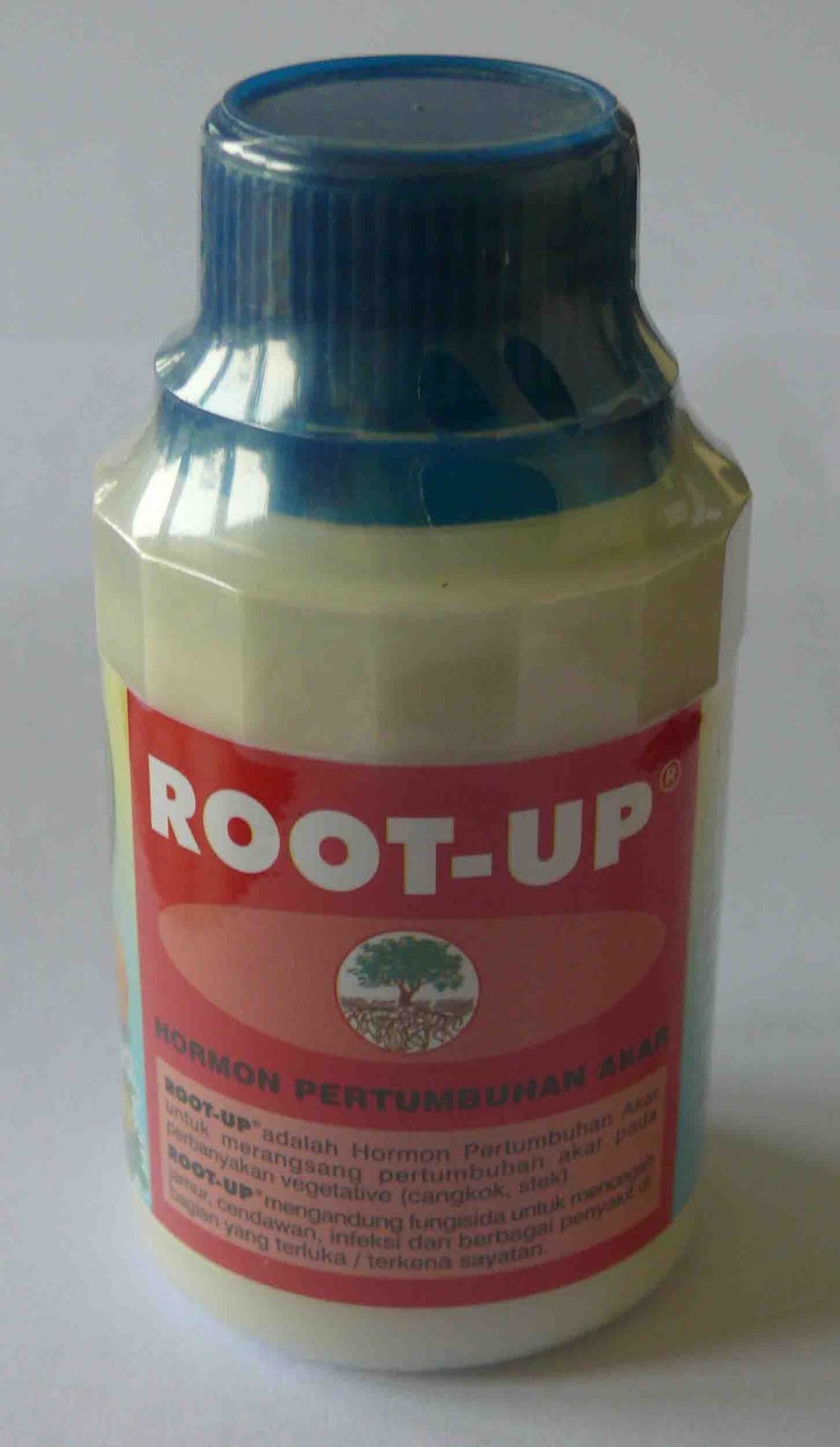 Root Up | sukabumi nursery