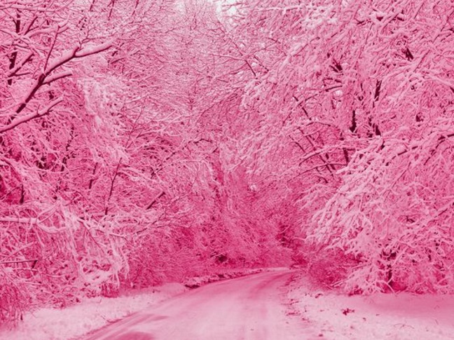 Today with J P Ronan: pink snow
