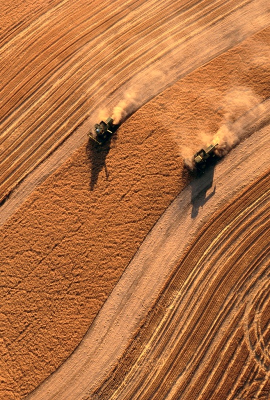 TARLA RESİMLERİ-ÇİFTEHAN KASABASI