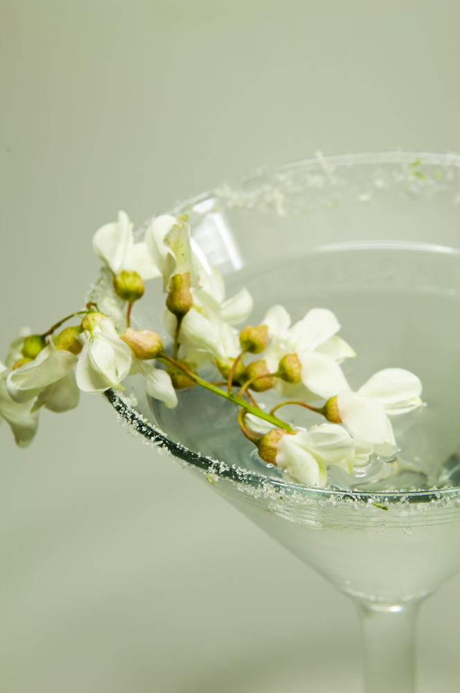 The 3 Foragers: Foraging for Wild, Natural, Organic Food: Black Locust ...